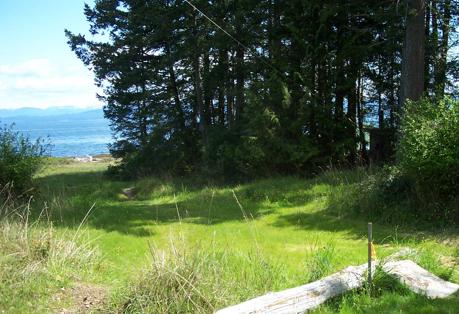 Grassy Point Park | Comox Valley Regional District