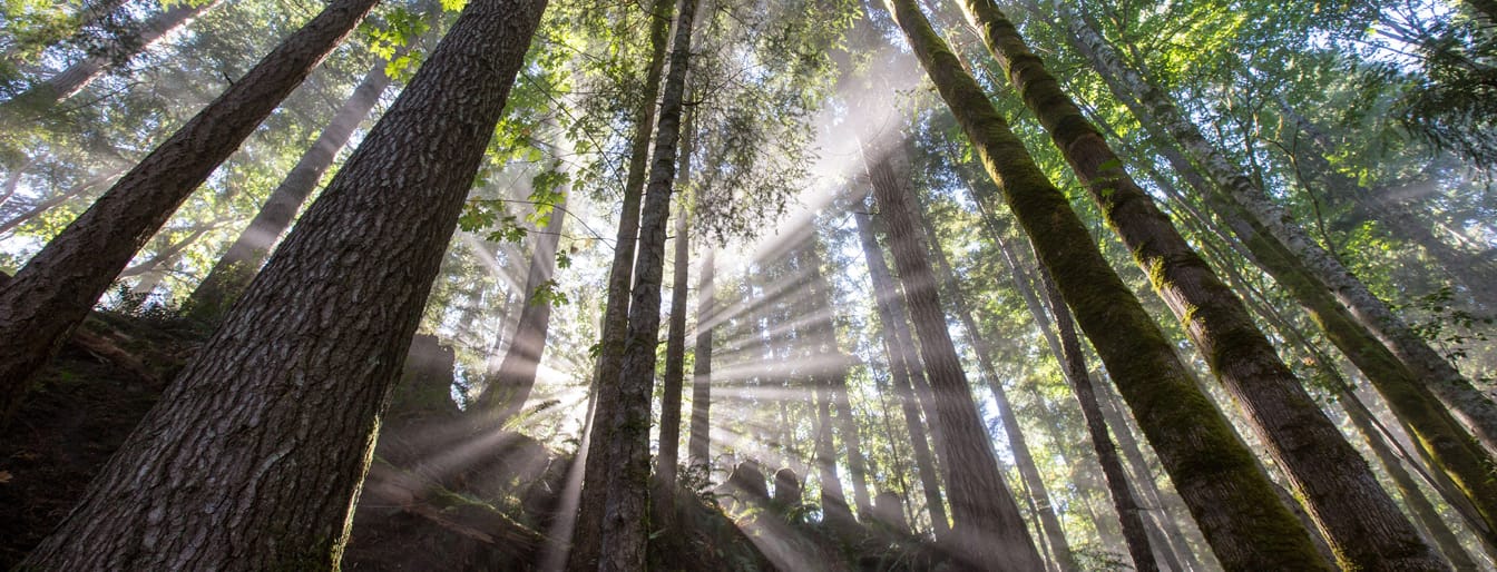 Environment | Comox Valley Regional District
